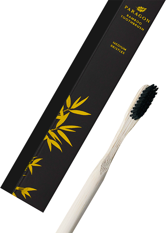 Our Products – Paragon