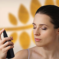 Our Products – Paragon