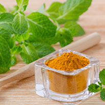 Our Products – Paragon